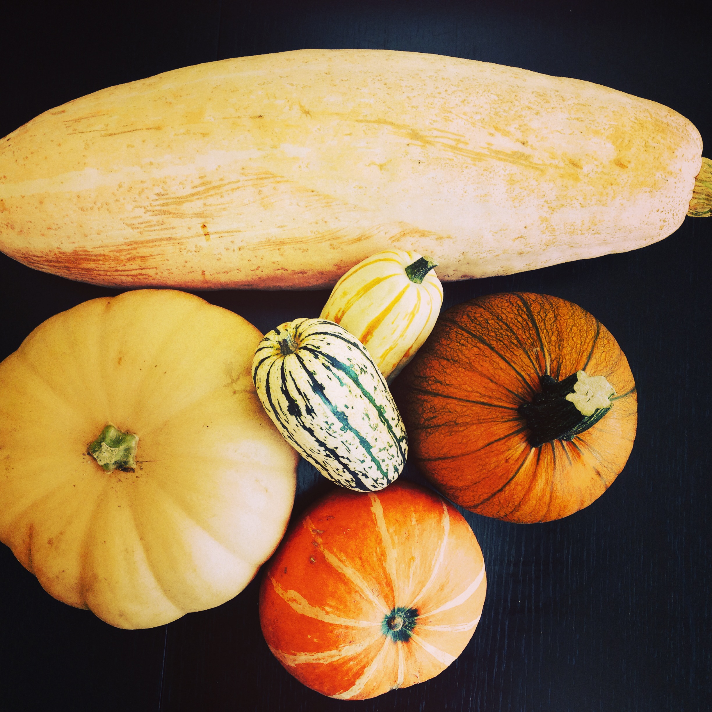 Native Winter Squash, Baby Scarlet Turnips, and Fresh Oregon ...