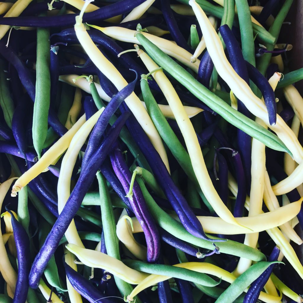 Dragon Tongue Beans, Fresh Black Currants and Wild Maine Blueberries ...